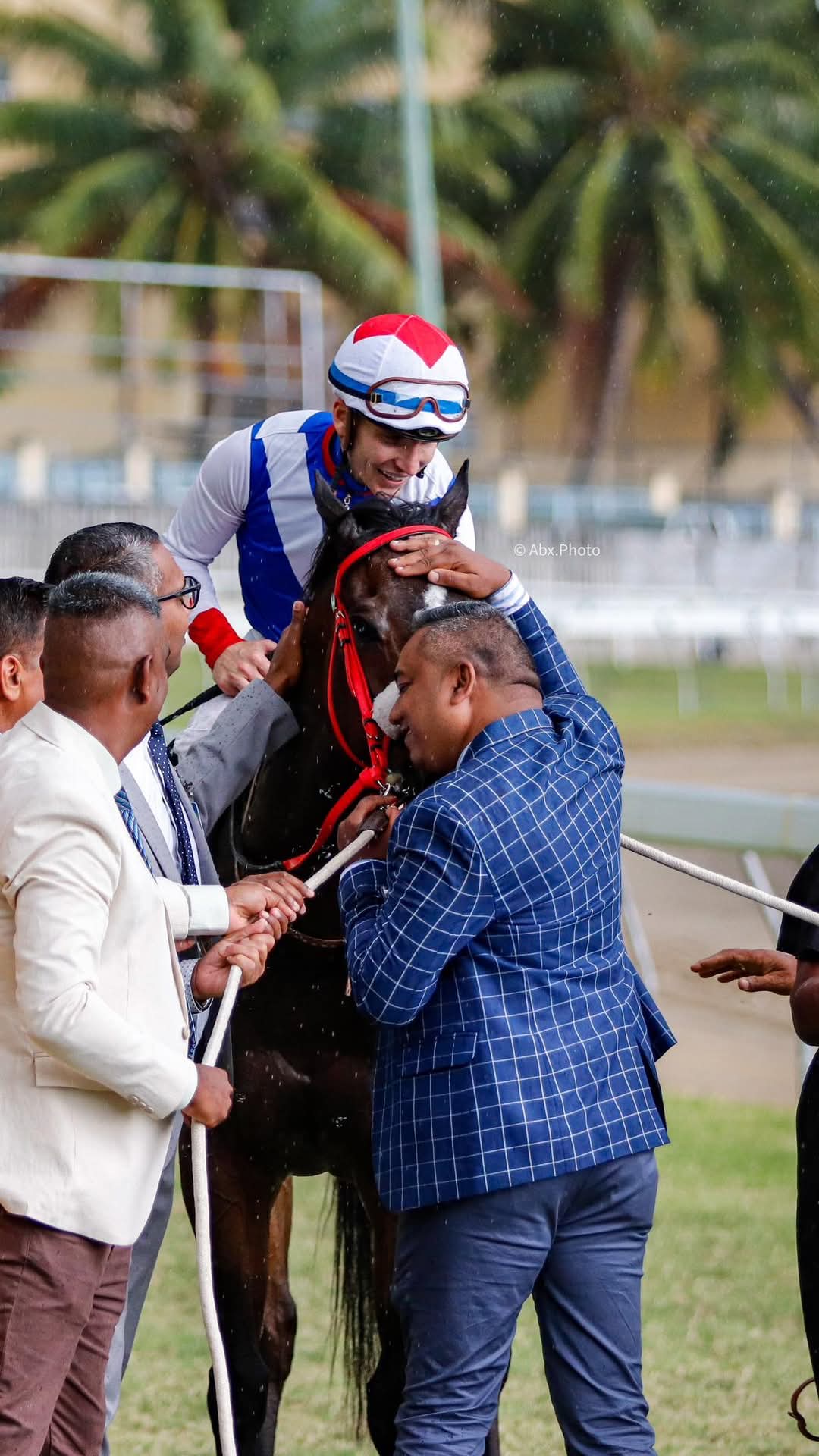 Mootien Stables - Elite Horse Racing in Mauritius