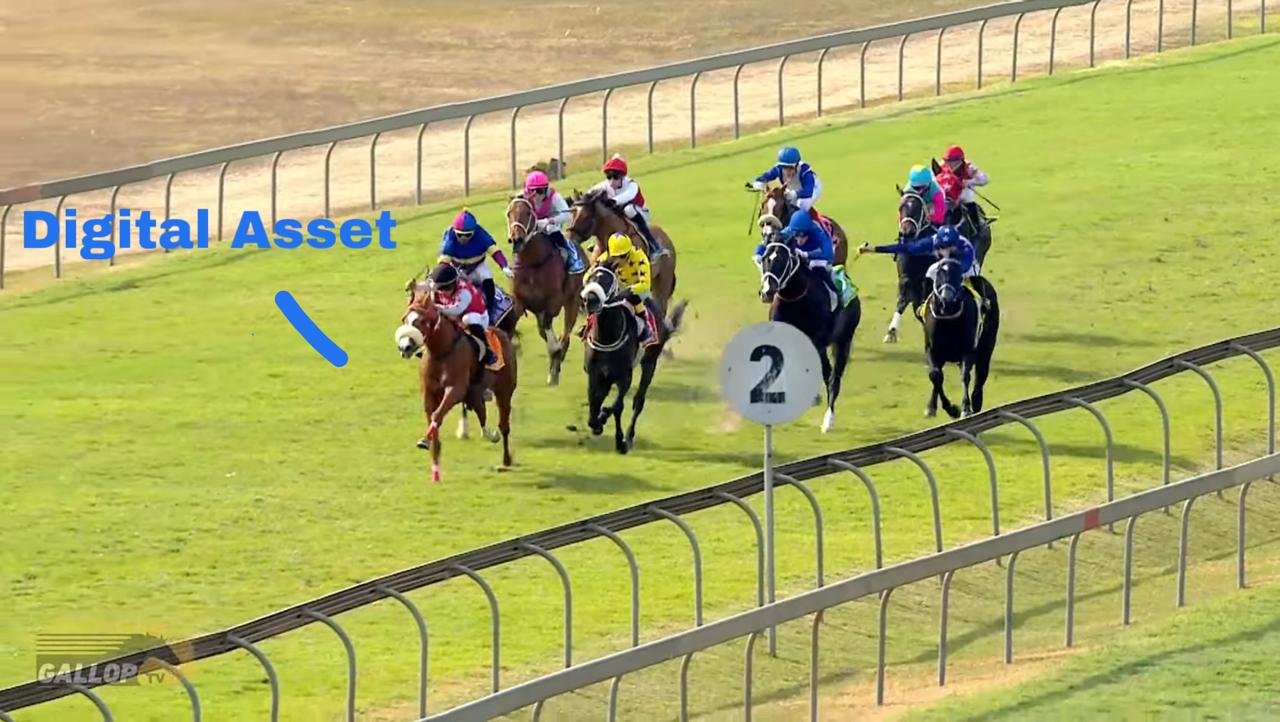 Mootien Stables - Elite Horse Racing in Mauritius