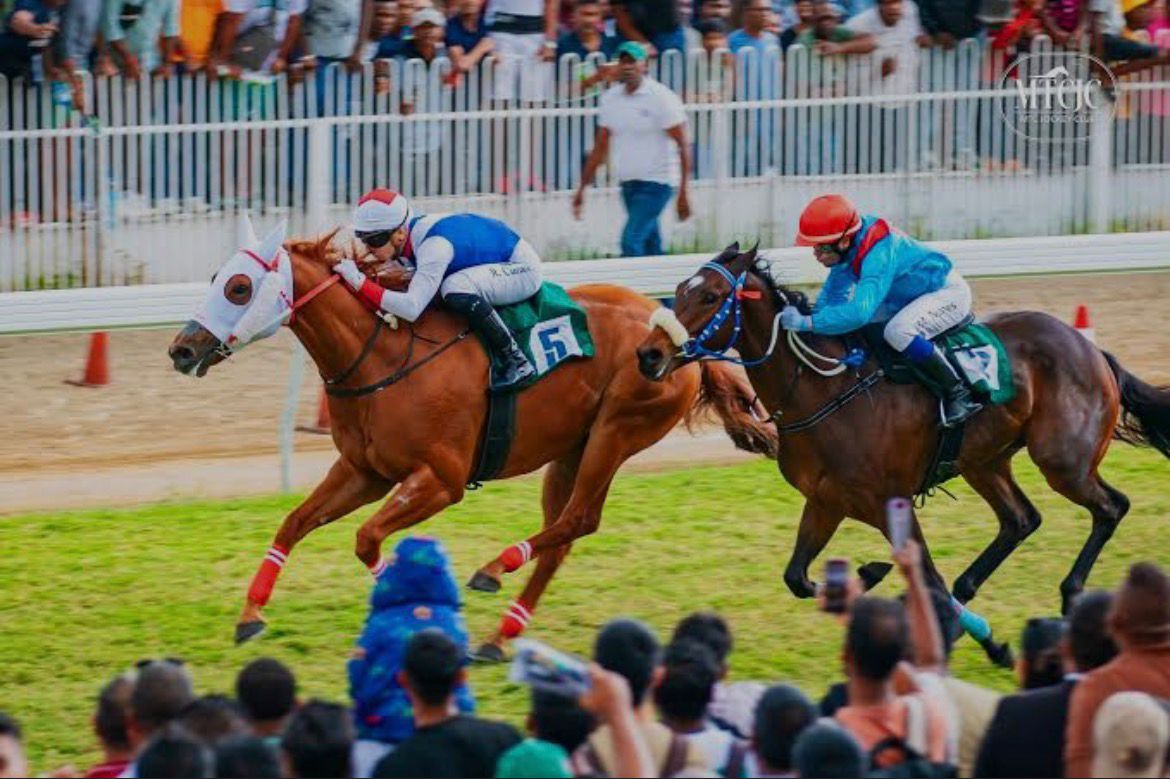 Mootien Stables - Elite Horse Racing in Mauritius