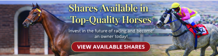 Mootien Stables - Elite Horse Racing in Mauritius
