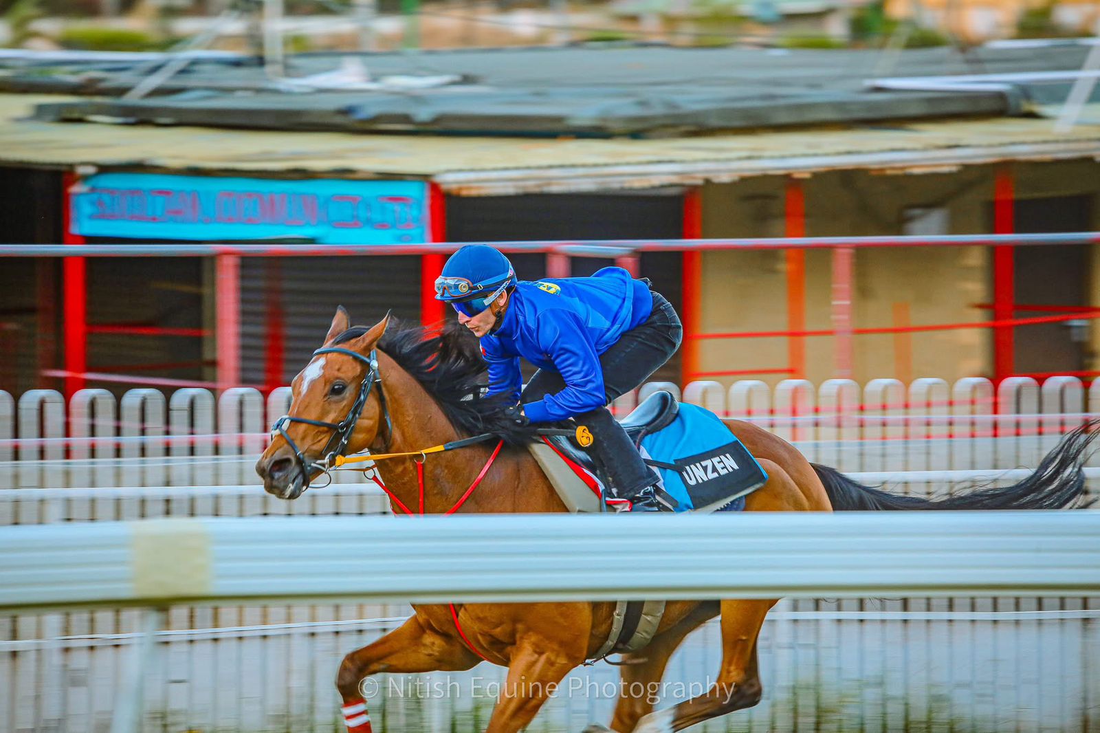 Mootien Stables - Elite Horse Racing in Mauritius