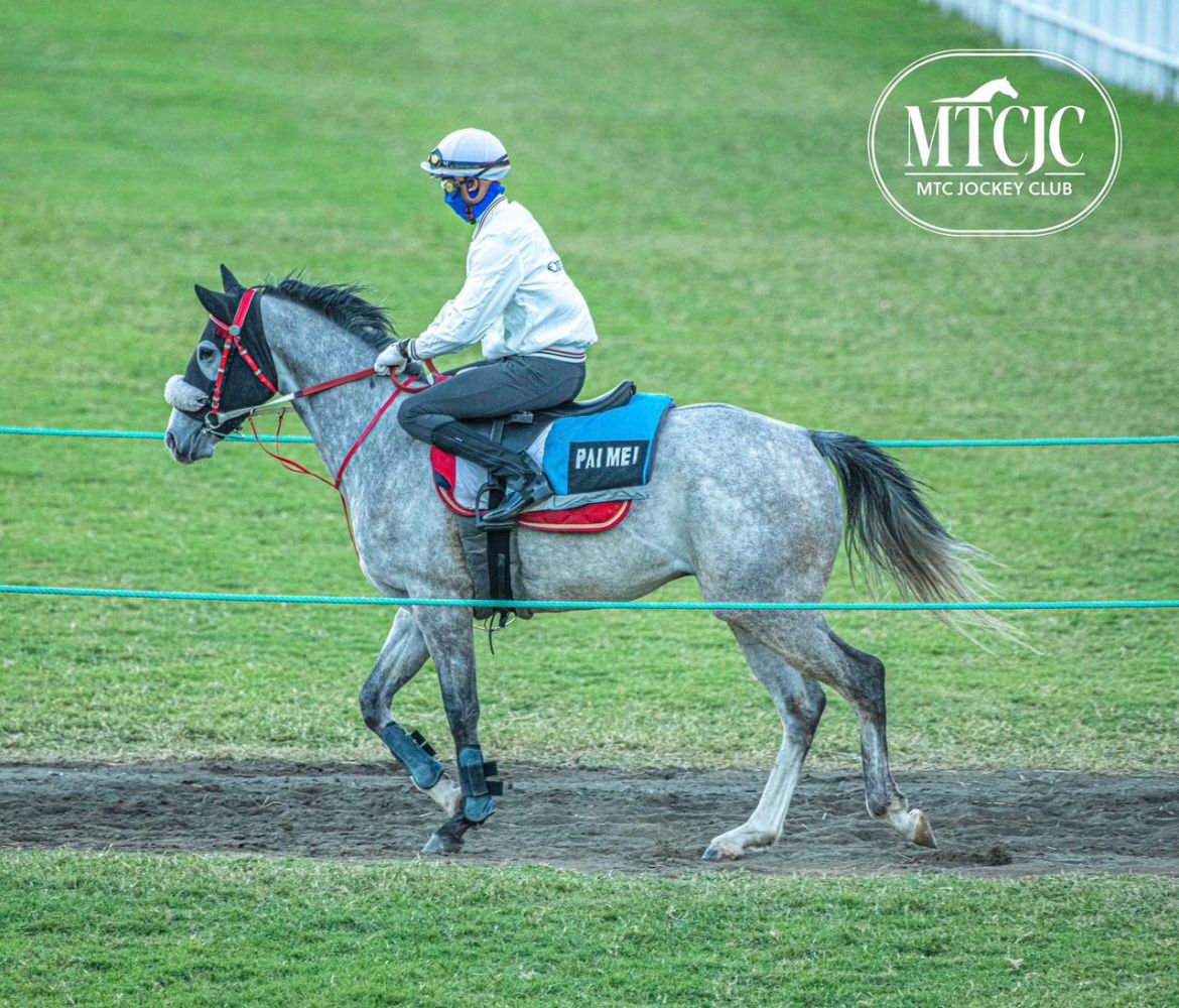 Mootien Stables - Elite Horse Racing in Mauritius